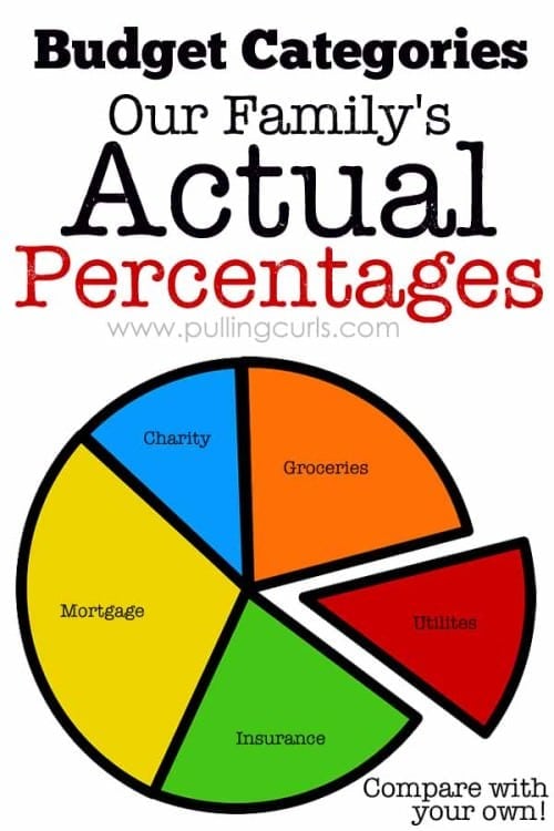 Family Budget Categories Amounts Family Budget Categories Amounts