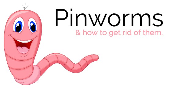 Pin Worms