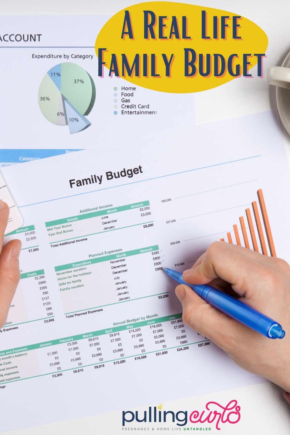 Family Budget Example Sample Budget For A Family Of Five